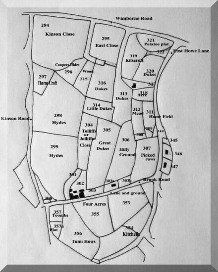 Moonfleet of Kinson - Cuckoo Woods