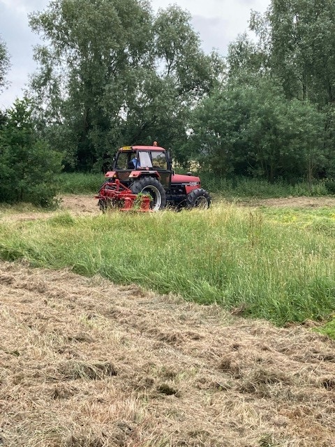 Tirley Village - Jubilee Wood